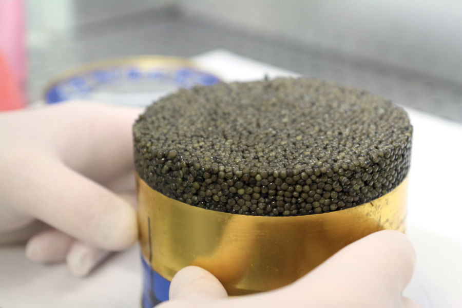 STURIA, le caviar naturel élaboré de façon traditionnelle - Le monde de ...