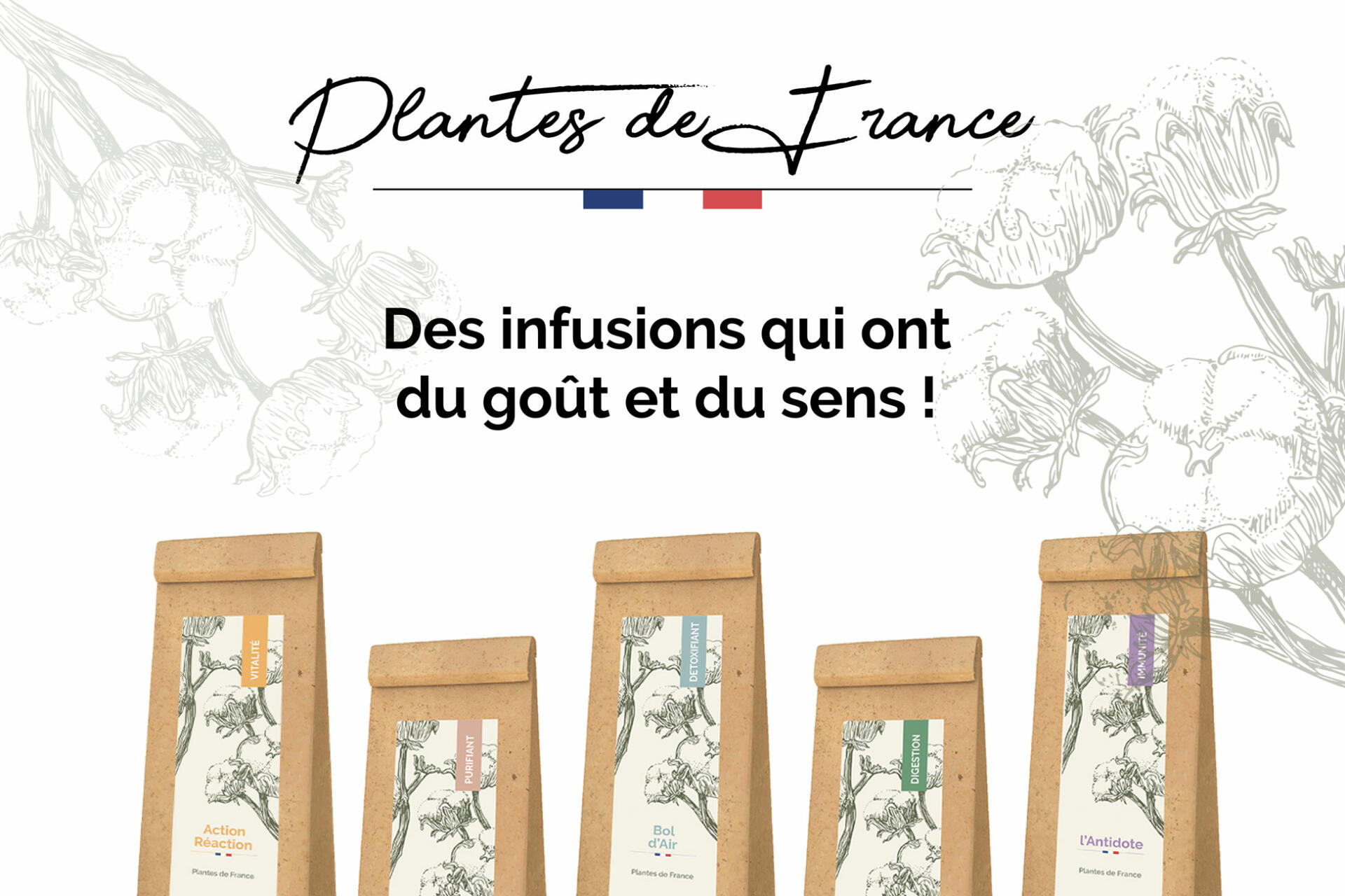 Sortie de l’année : la collection « Plantes de France » - Maison ...